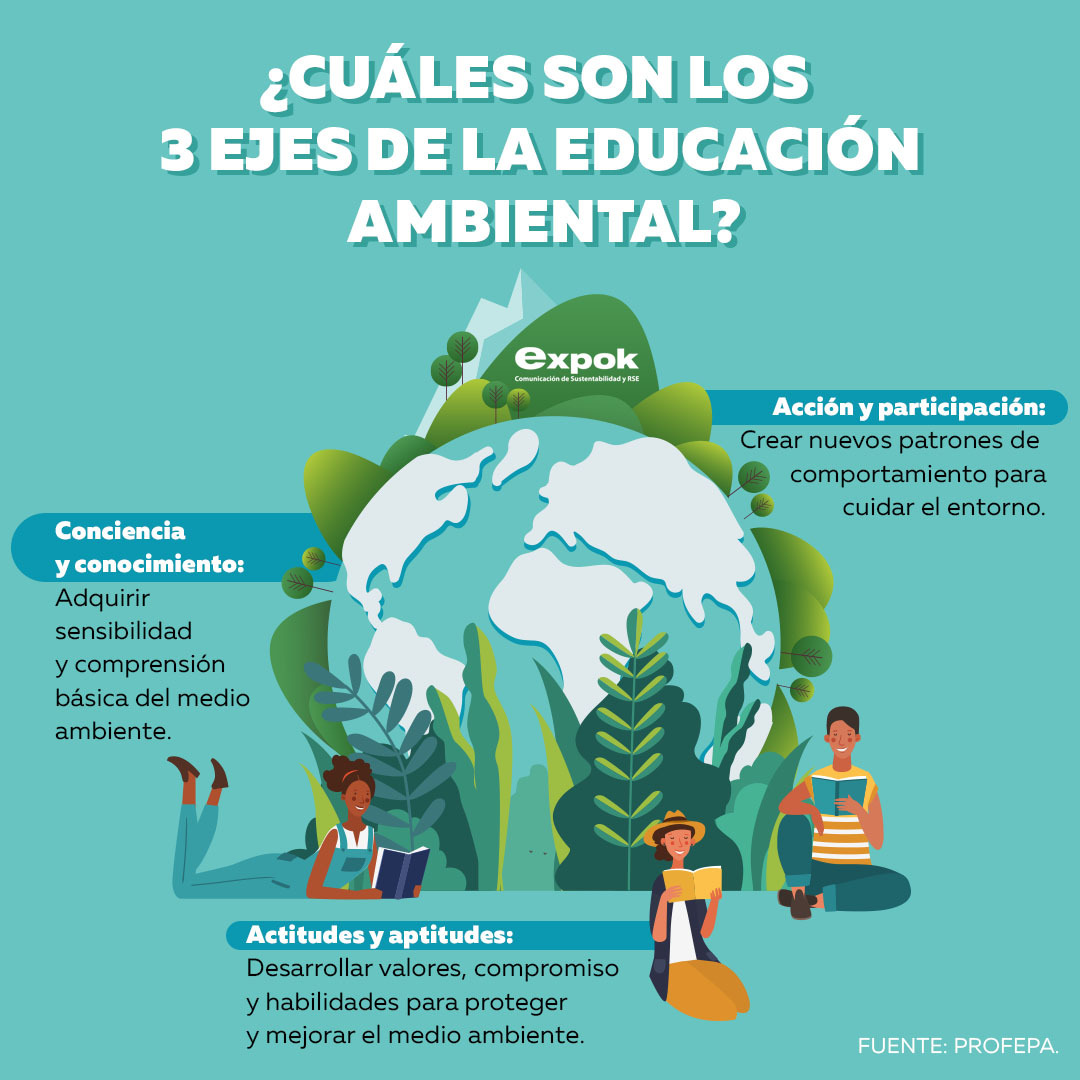 ¿Qué es la educación ambiental y cómo contribuye a la sustentabilidad? ≫ Clazes.com